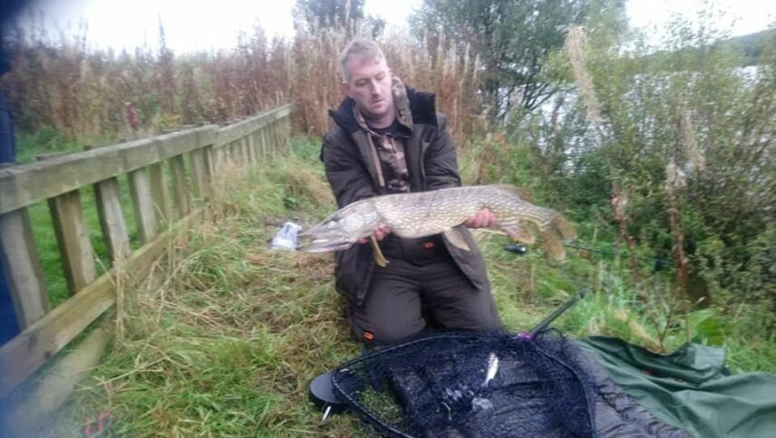Pike & Catfish Dead Baiting Natural Fishing Bait Oil Bundle - SEARIGS UK