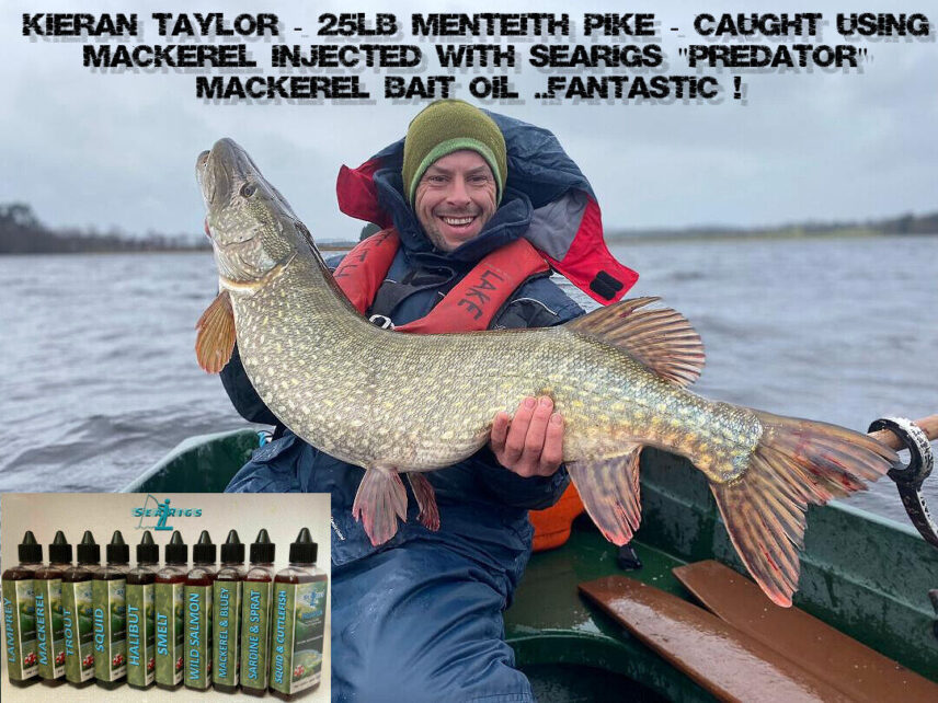 Pike Lure Natural Bait Oil, Pike, Catfish, Eel & Zander Attractor 125ml ...