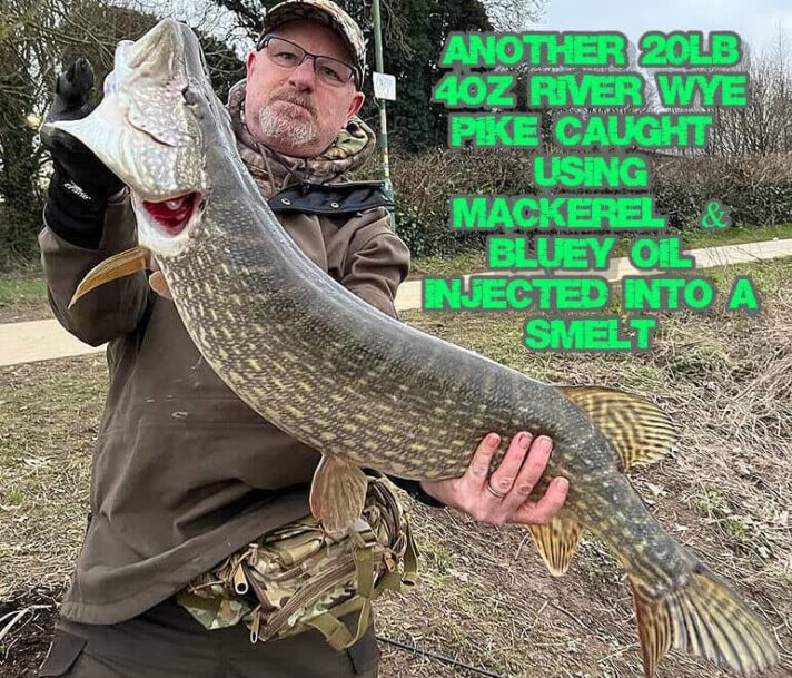 Predator Fishing Bait Oil - 250 ml - Extracted Liquid Bait Oils ...
